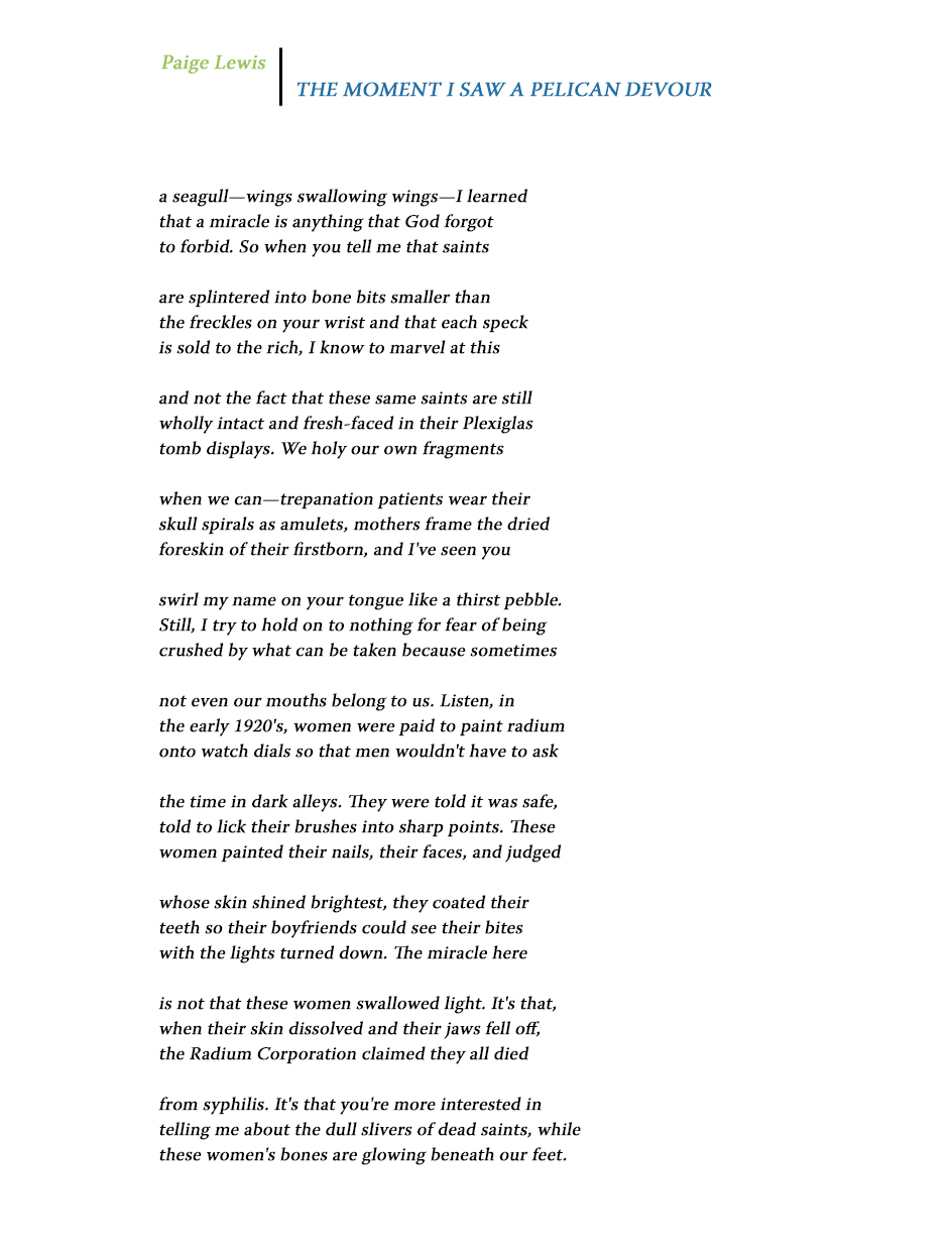 Sixth Finch - Summer 2016 - Paige Lewis - THE MOMENT I SAW A PELICAN DEVOUR