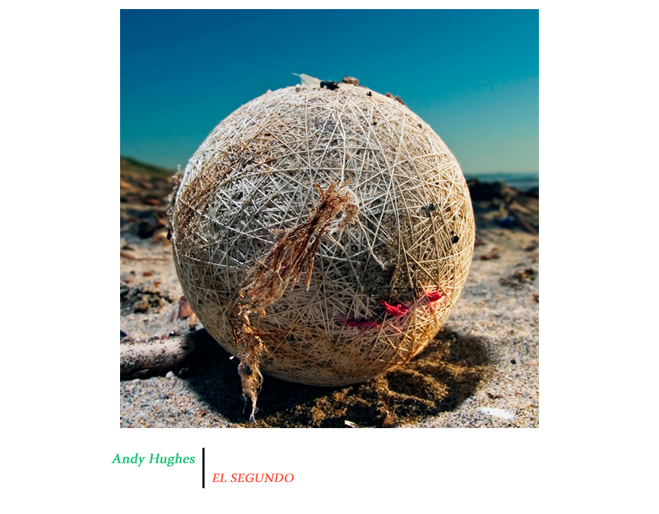 Sixth Finch - Winter 2015 - Andy Hughes - EL SEGUNDO